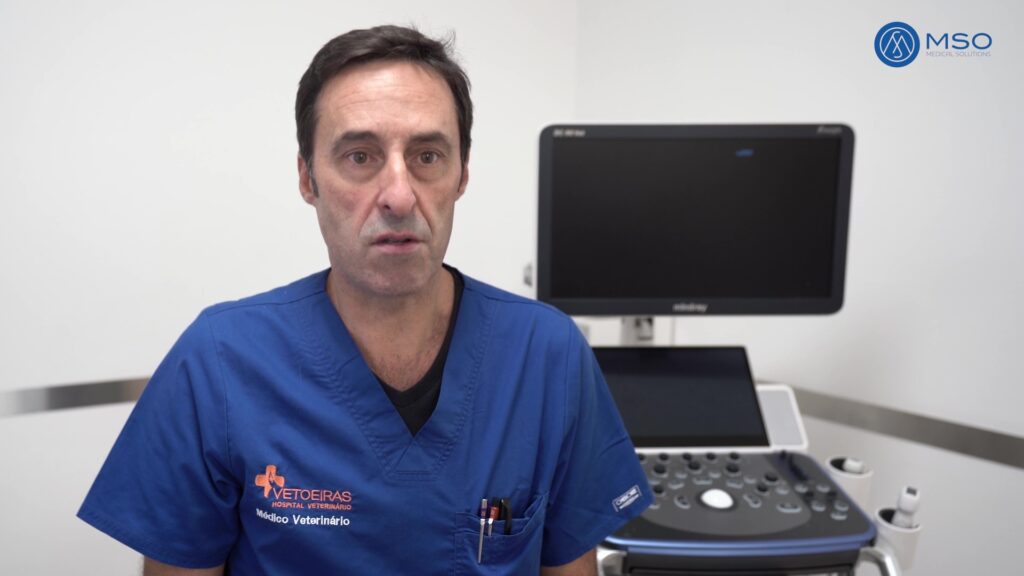 Homepage - MSO Medical Solutions