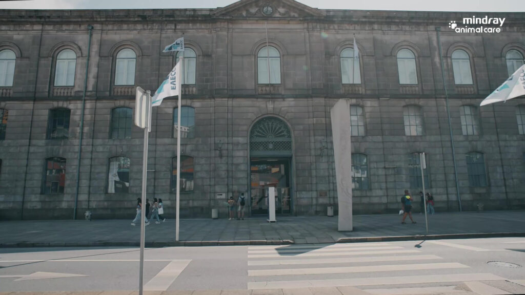 Homepage - MSO Medical Solutions