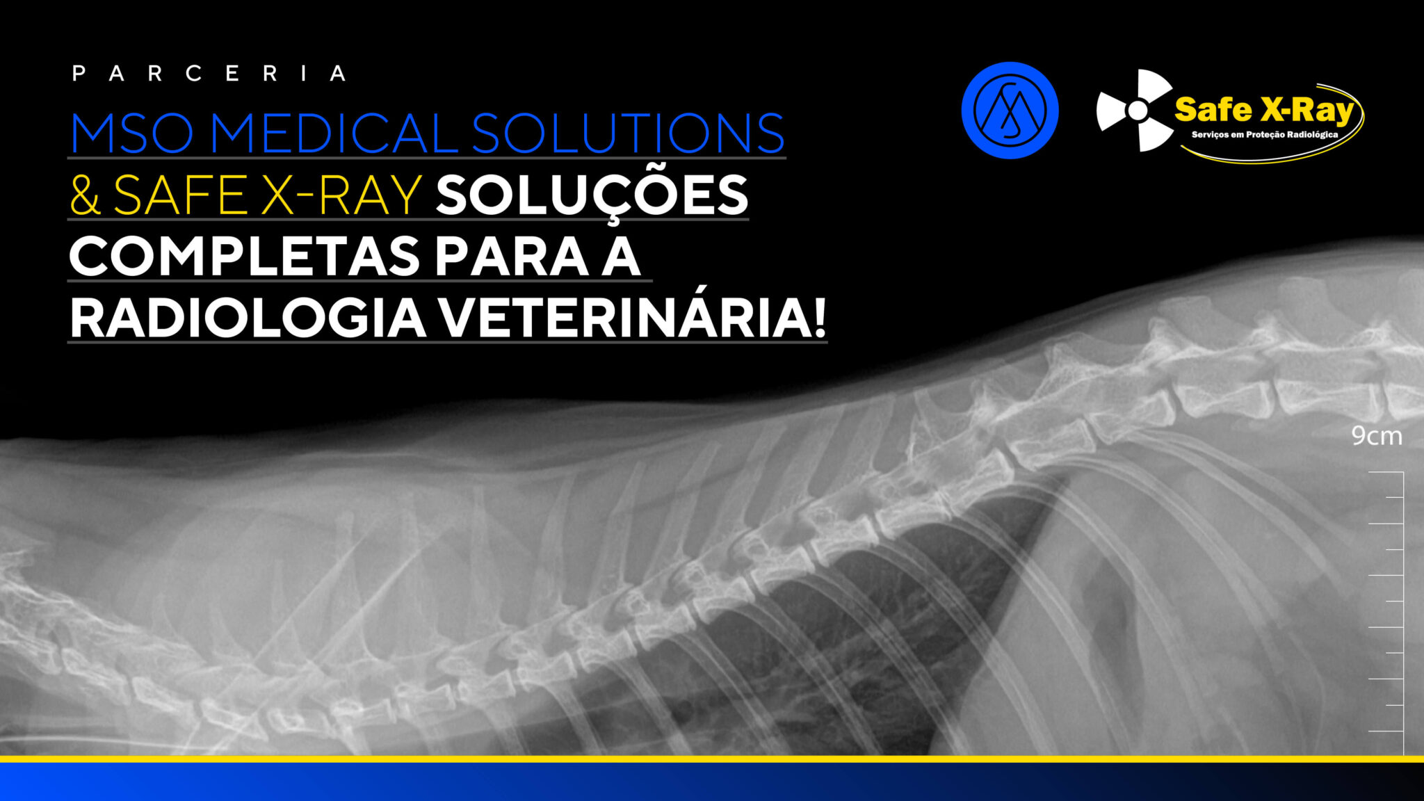 Homepage - MSO Medical Solutions